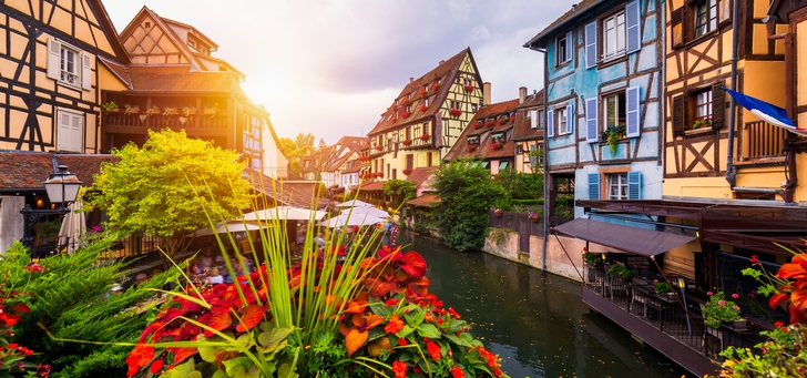 Key role plants play in boosting tourism attractiveness | Paysalia